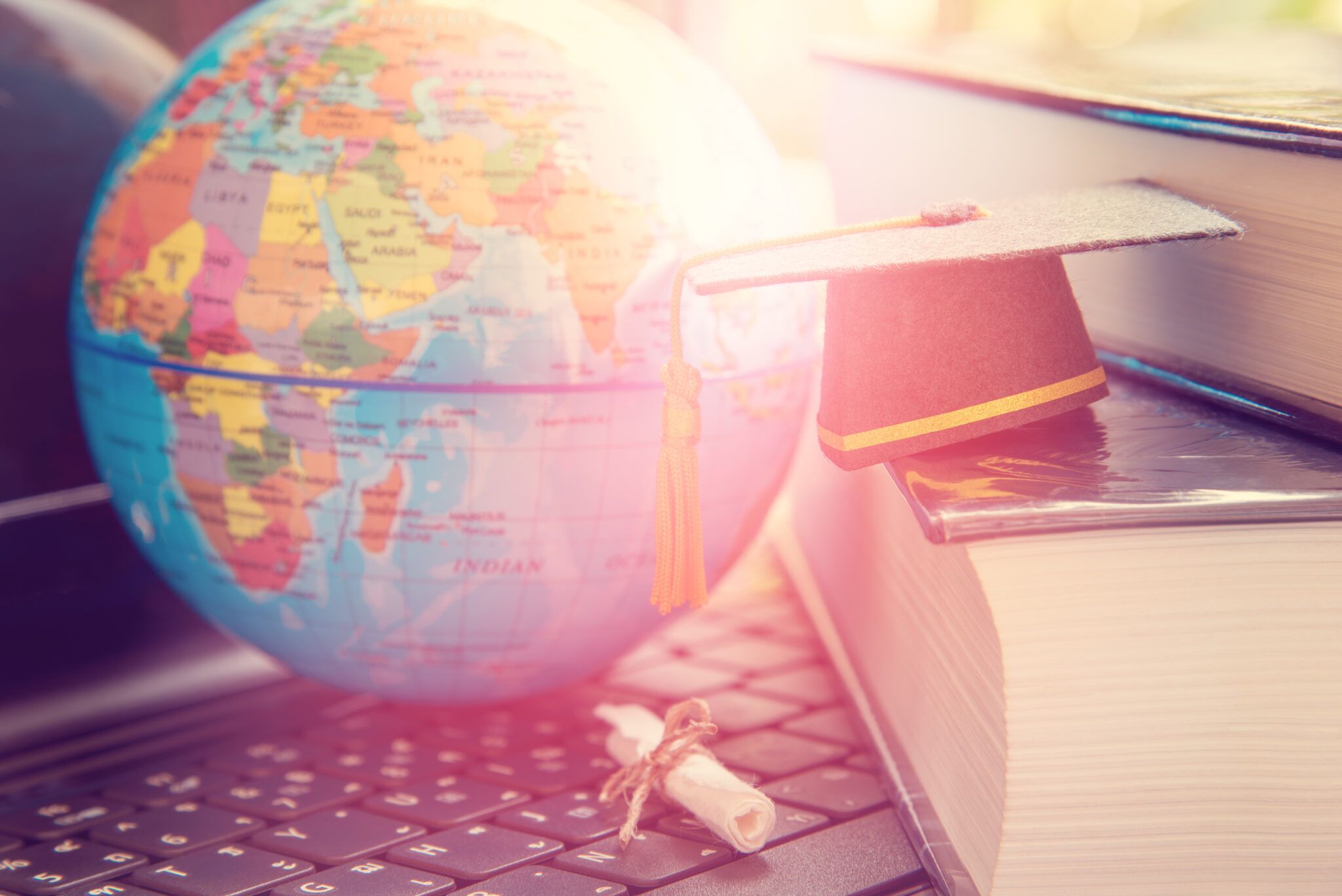 PhD application process varies - jobs.ac.uk